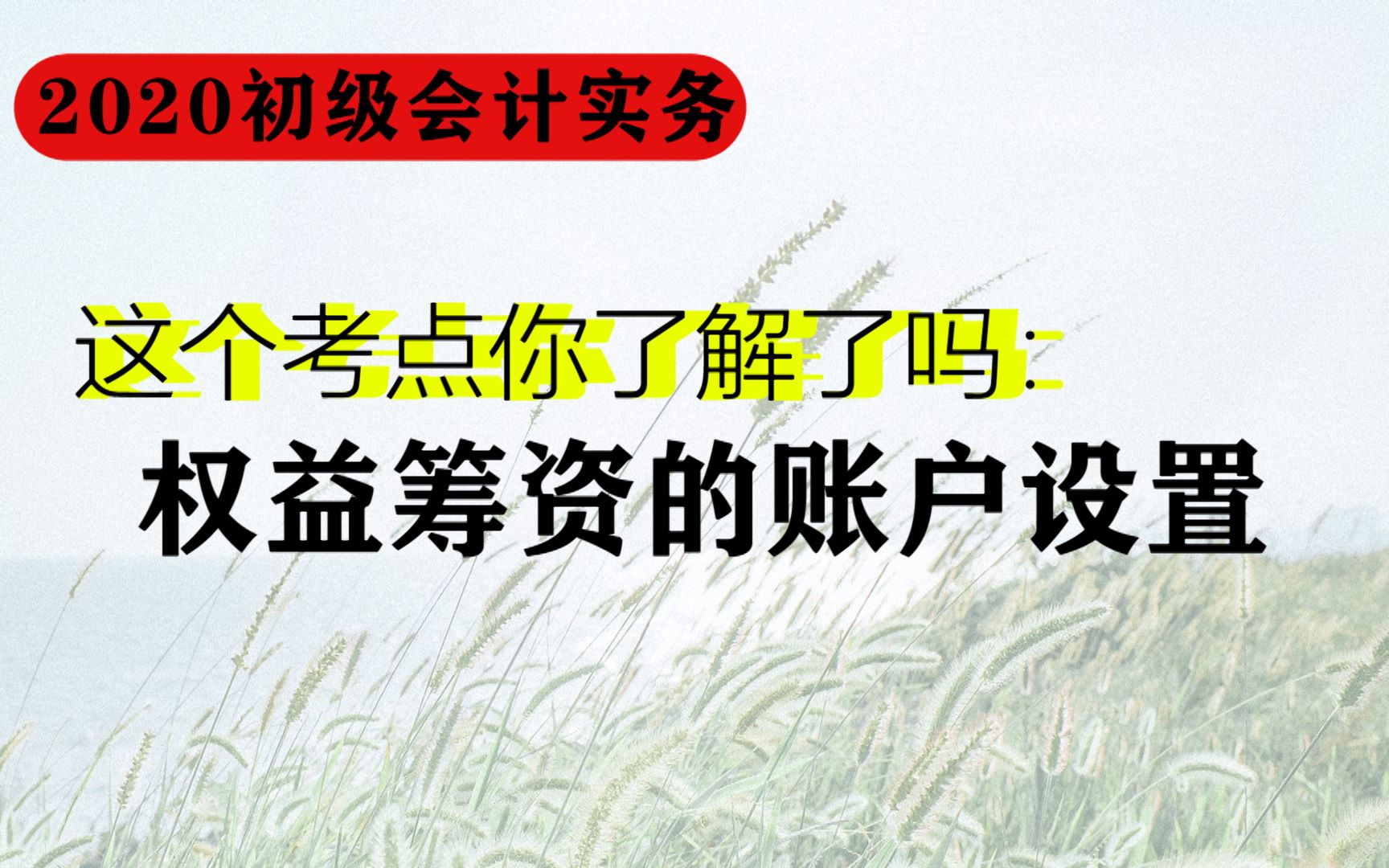 初级会计实务:权益筹资的账户设置