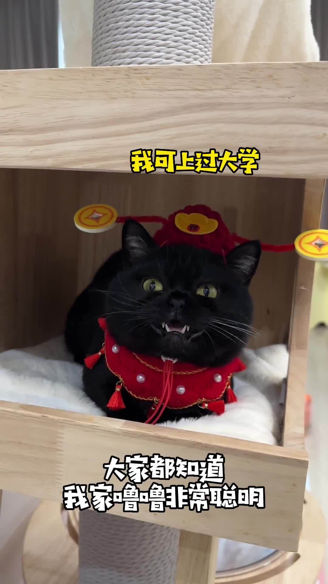 这个事情要不是有监控的话,柯南来了估计都破不了案