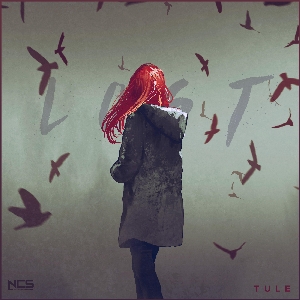 EnVyep 