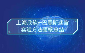 上海欣软整理的大小鼠巴恩斯迷宫实验方法硬核总结与注意事项!