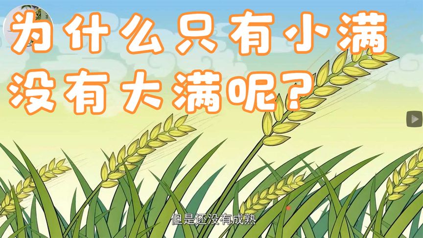 为什么只有小满,没有大满?