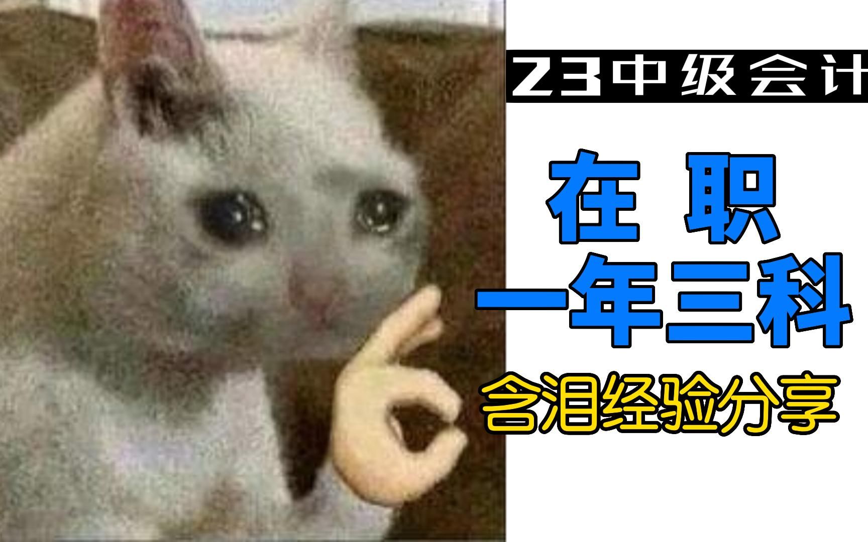 在职一年过三科,23中级会计含泪经验分享!