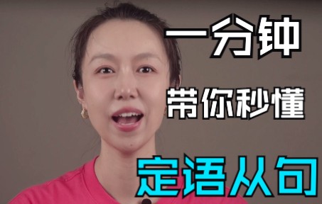 定语从句的概念