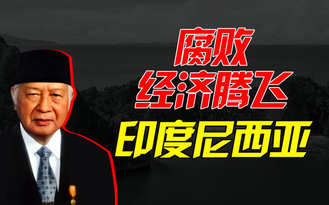 总统贪腐,国民致富,印尼的反常识发展史【资本主义修罗场:印度尼西亚(...