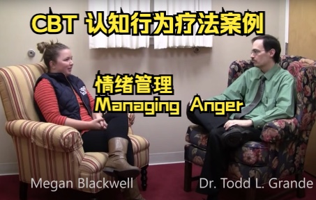 CBT 认知行为疗法案例——情绪管理