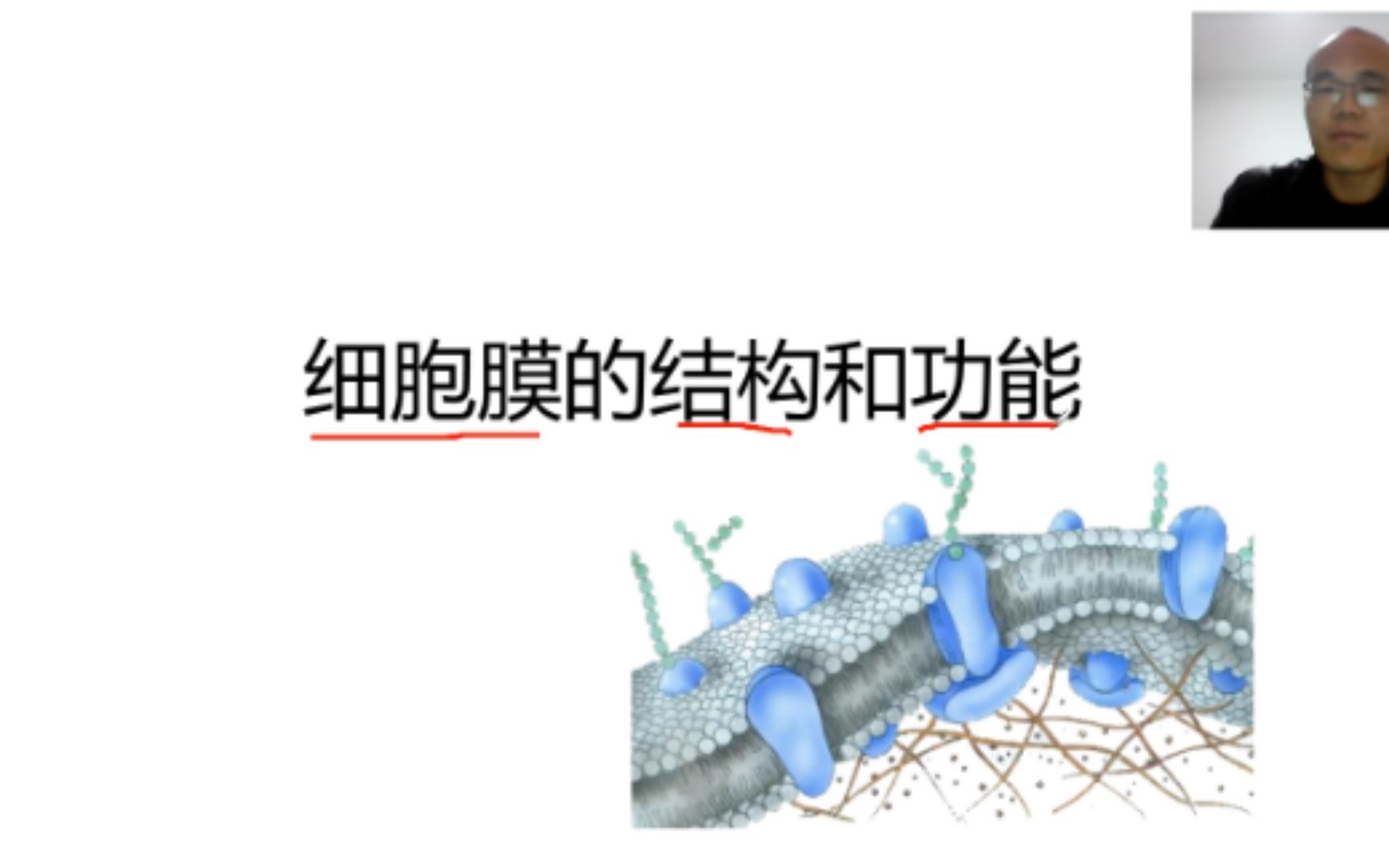 必修1第三章第1节 细胞膜的结构和功能2-1