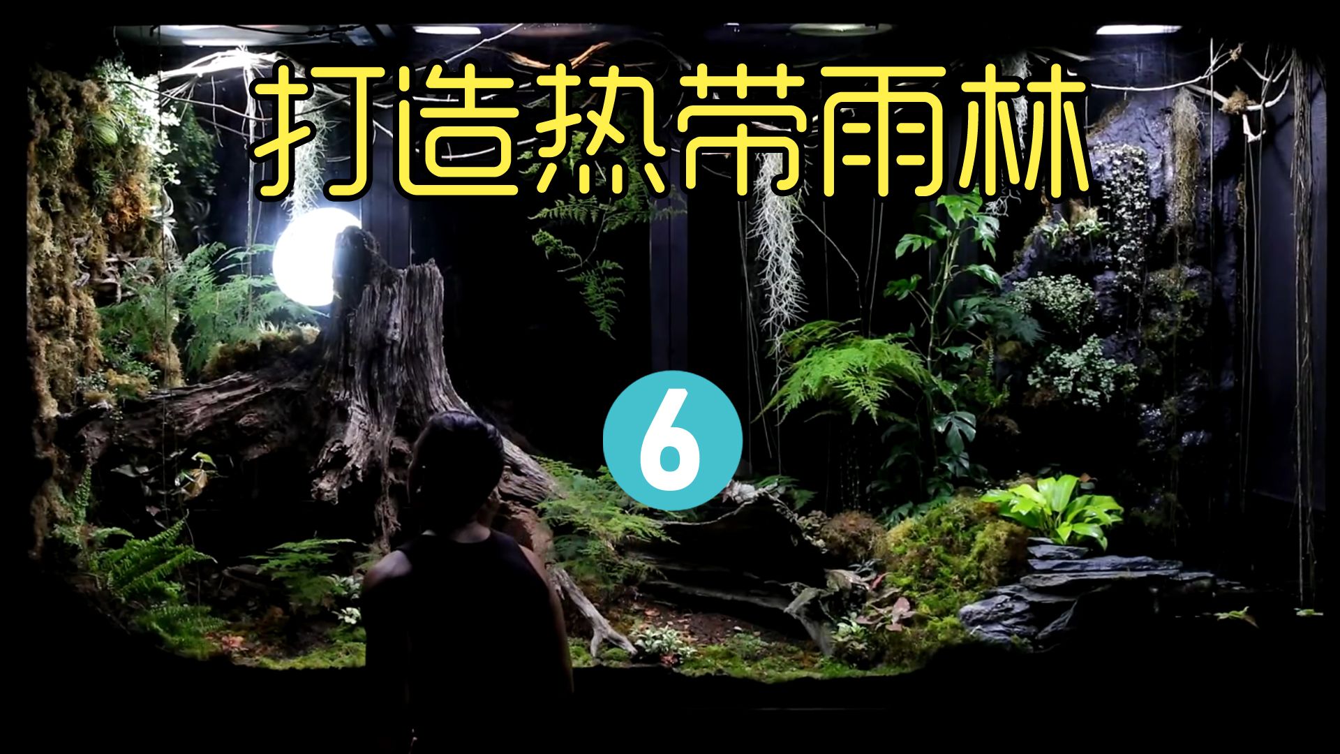 打造热带雨林,给雨林生态加入一只鳄鱼,会发生什么事呢?