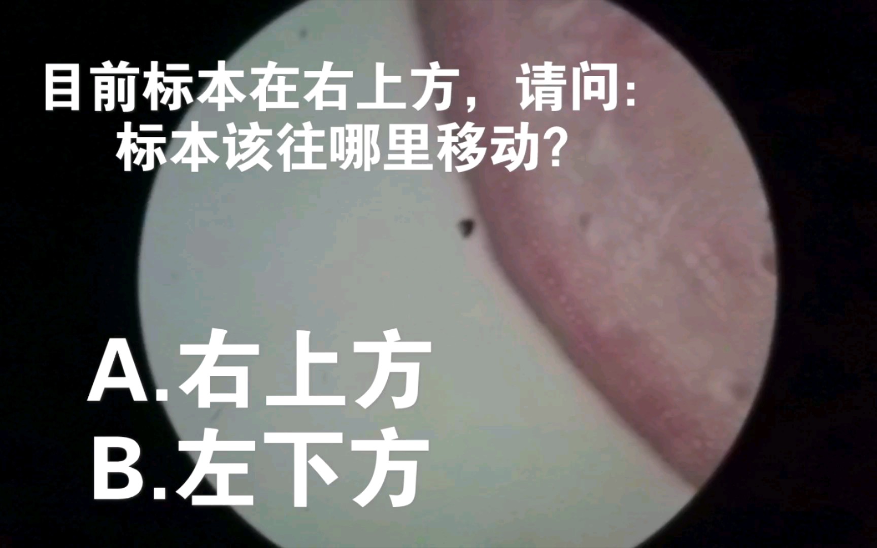 五下 校本部显微镜使用攻略