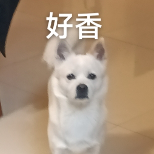 阳光海贝 