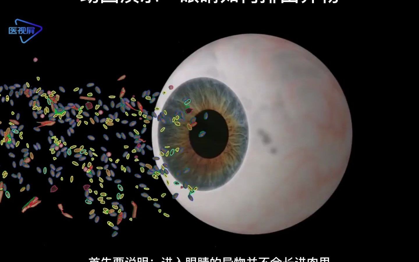 动画演示:眼睛如何排出异物