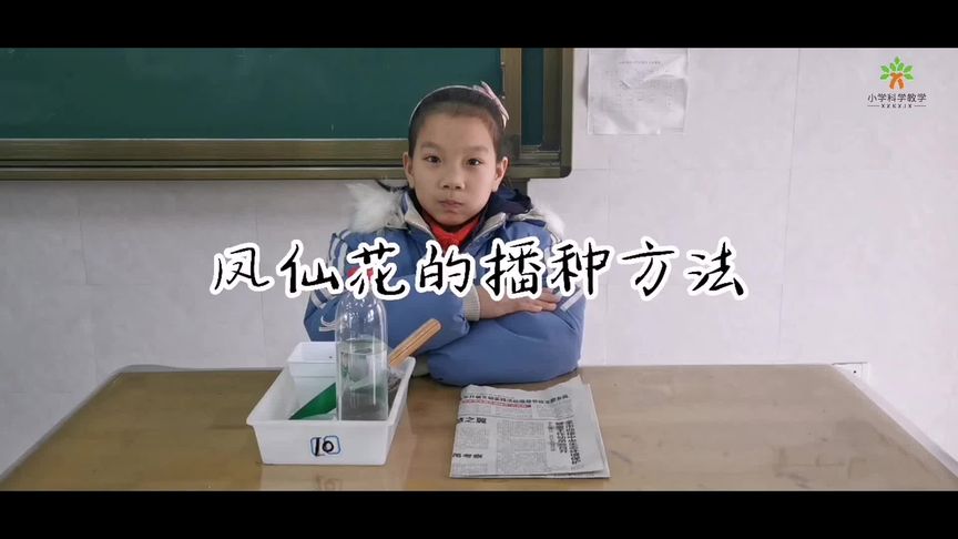 1.2凤仙花的种植#教科版小学科学#在线学习