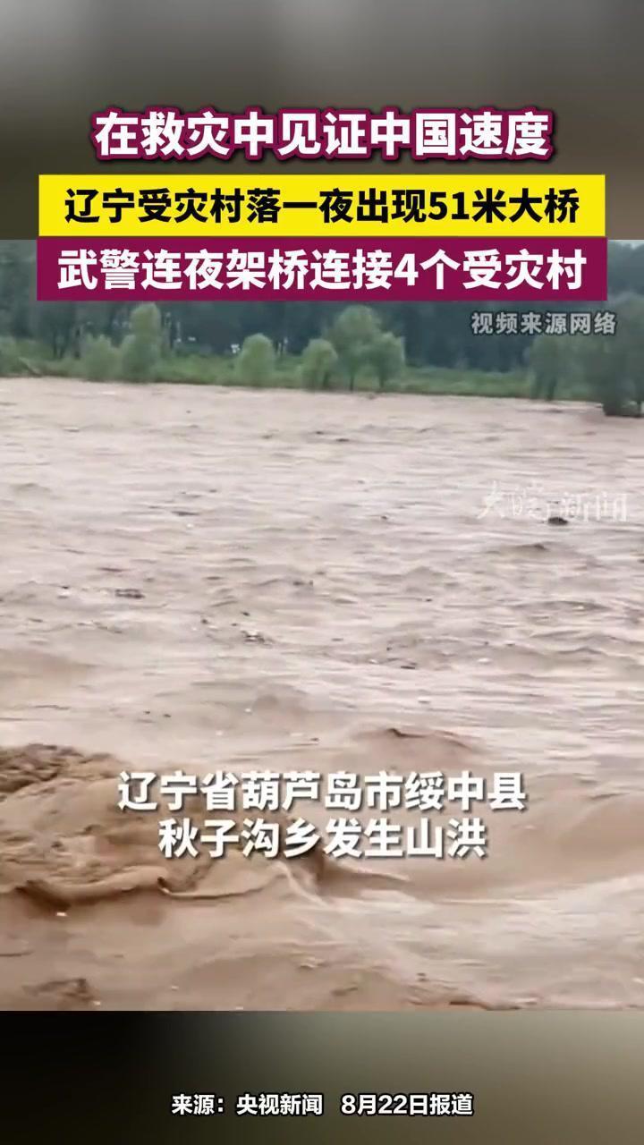 #在救灾中见证中国速度辽宁受灾村落一夜出现51米大桥武警连夜架桥...