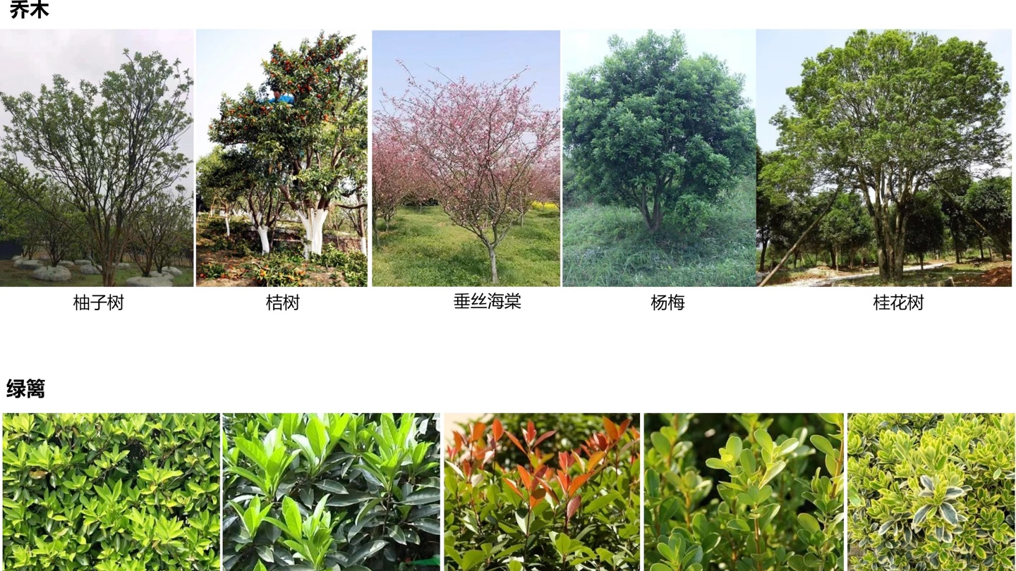 242平现代简约庭院设计方案初步文本