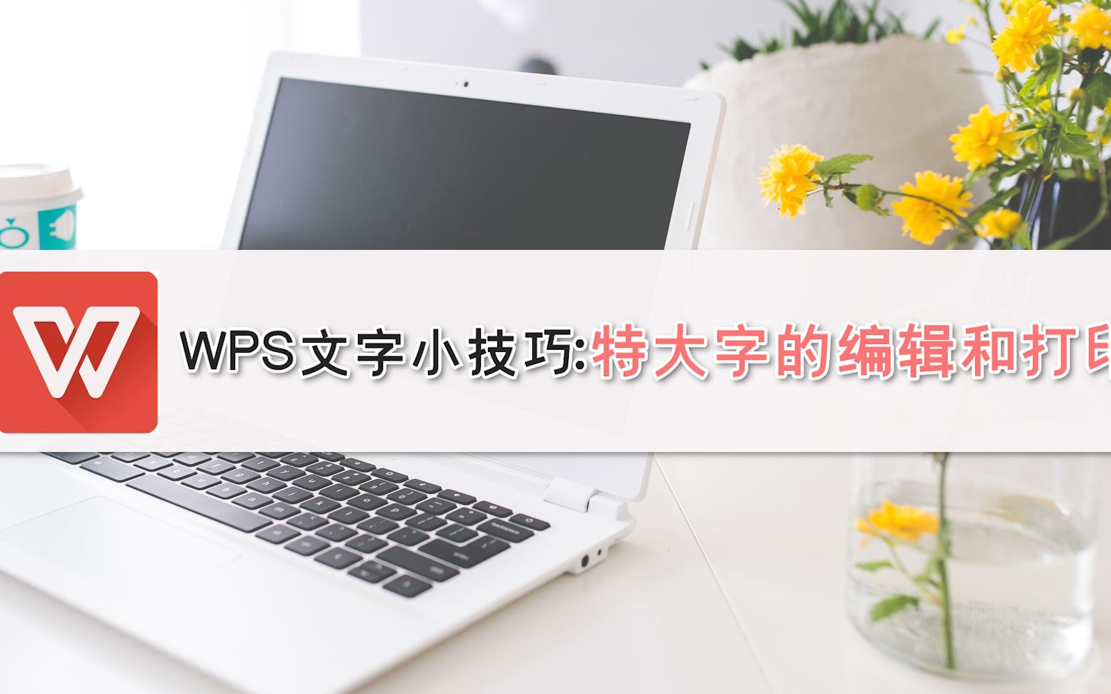 WPS文字小技巧:特大字的编辑和打印