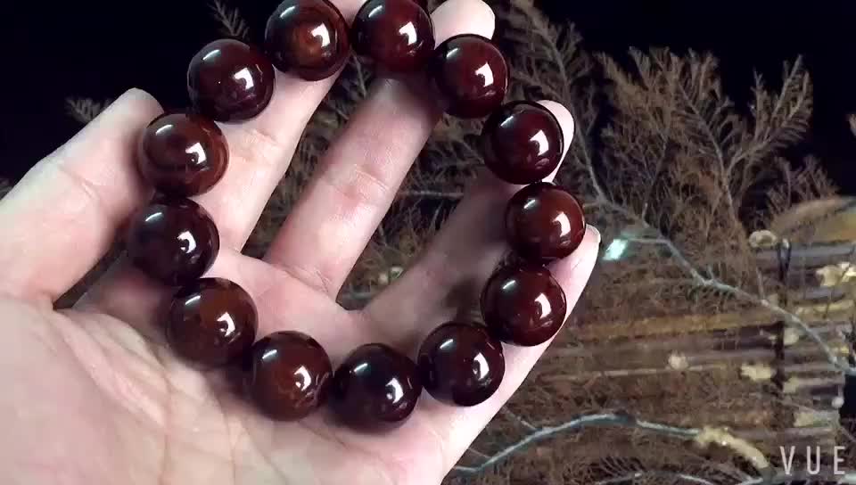 海柳黑珊瑚手串