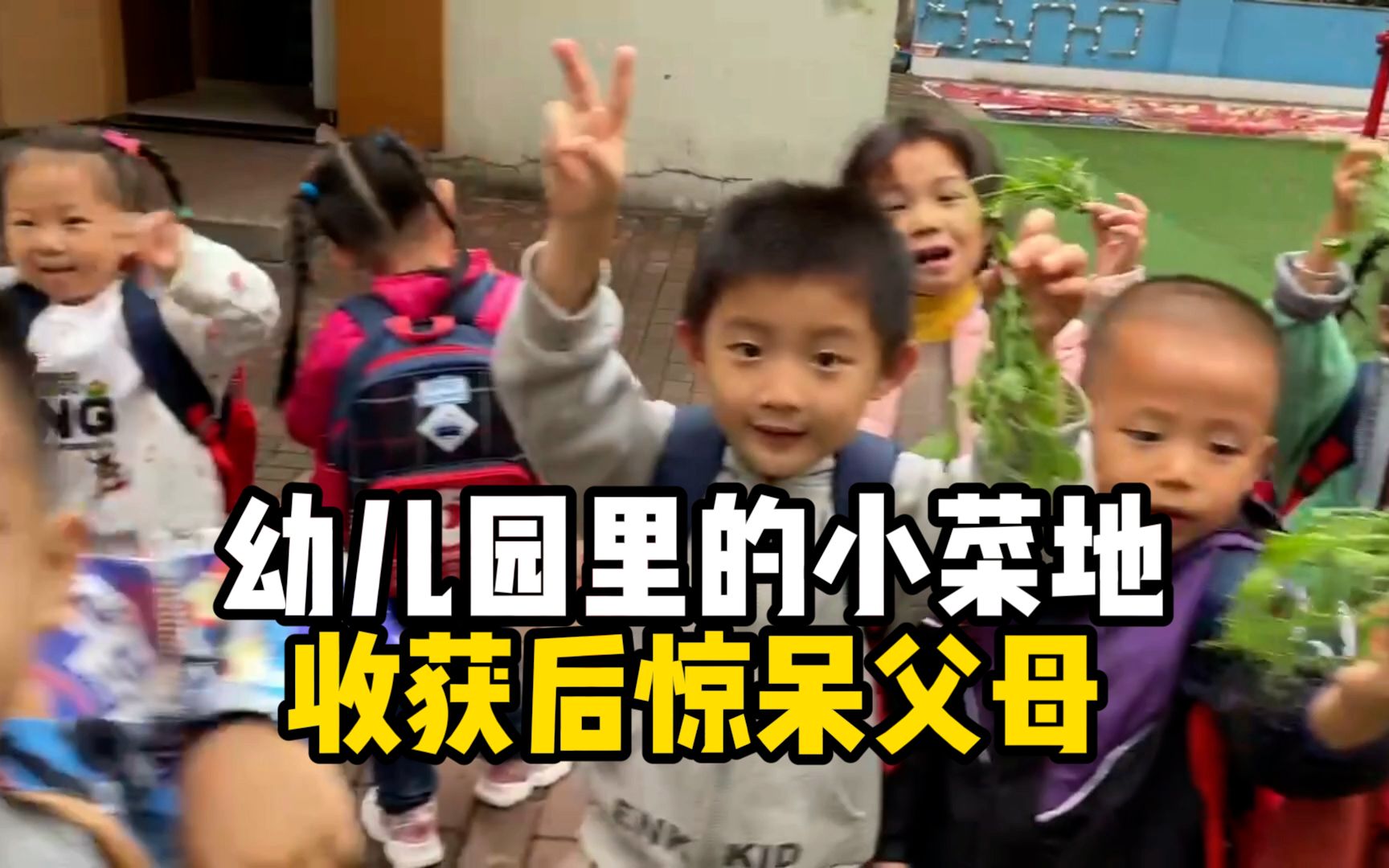 重庆一幼儿园利用空地,让小朋友自己种蔬菜,收获后惊呆父母