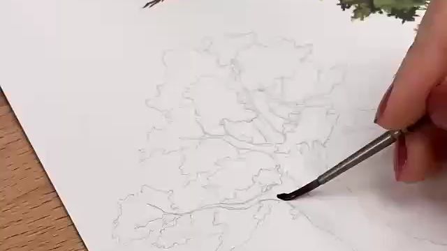 画树教程学习