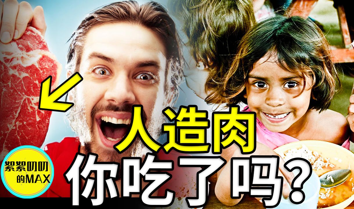 ...蛋白肉|实验室肉|试管肉|牛屁毁灭地球|吃肉毁灭地球|昆虫肉|癌细胞肉|