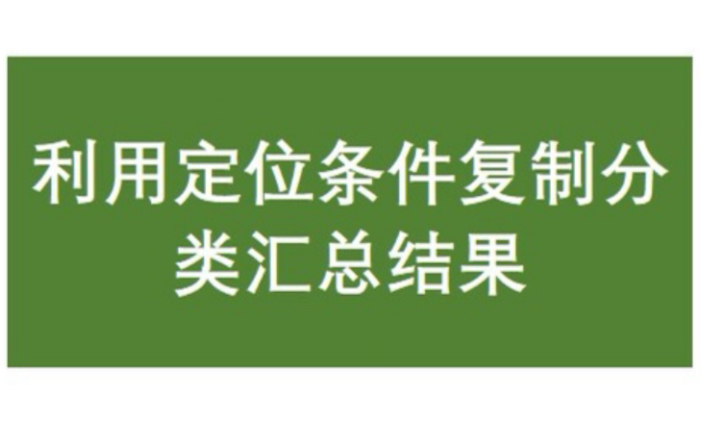 EXCEL利用定位条件复制分类汇总结果(复制可见单元格)