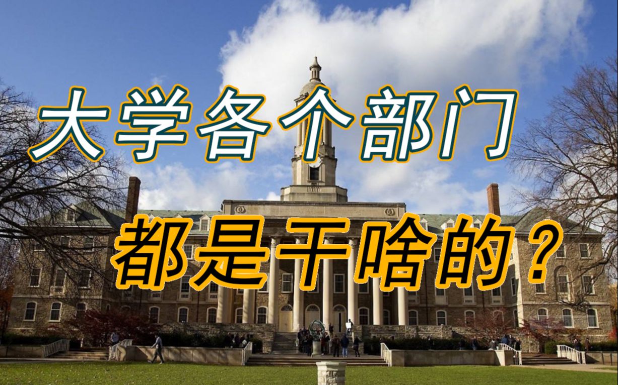 【干货】大学各个部门都是干啥的? 带你了解其中关系和作用