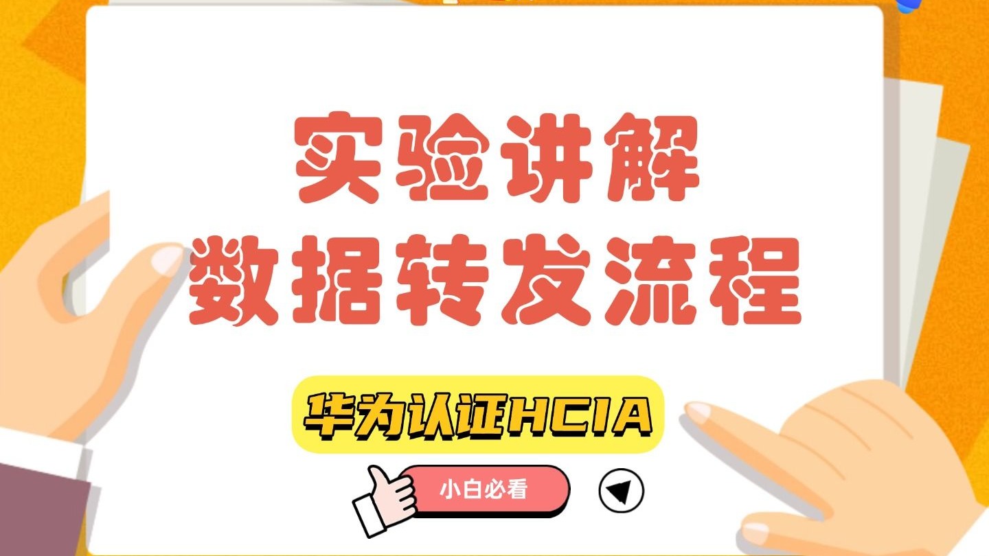 实验讲解,数据转发流程