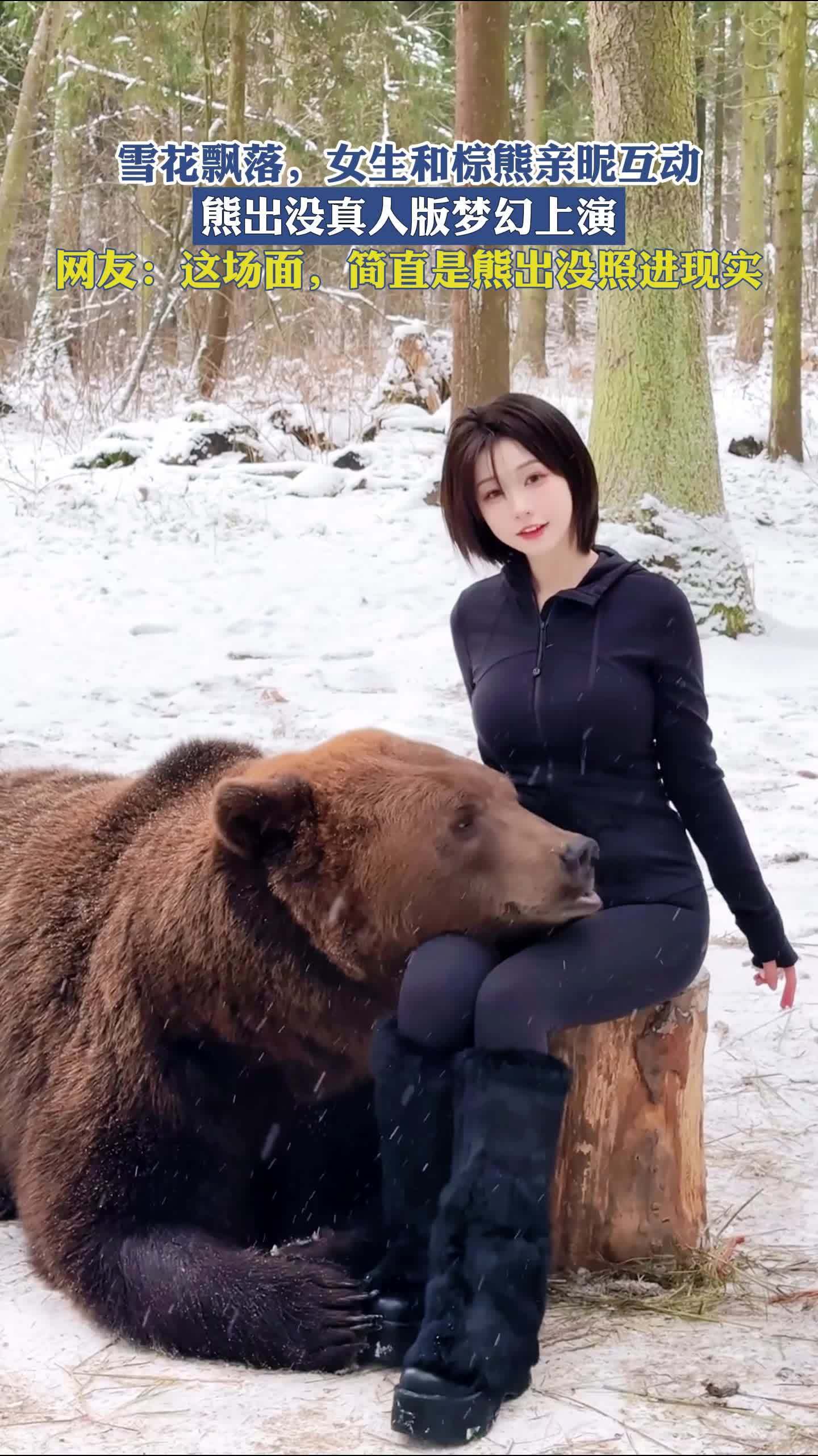 雪花飘落,女生和棕熊亲昵互动,熊出没真人版梦幻上演!