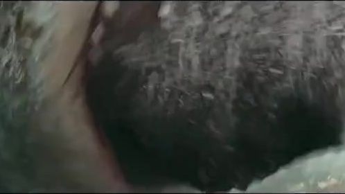 全球五大灾难片排行