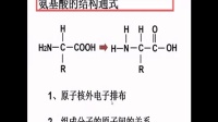 进一步认识氨基酸的结构通式