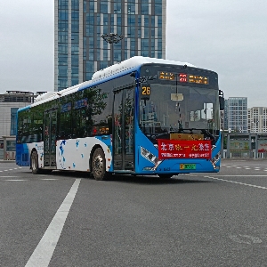 无敌的毒液豌豆 