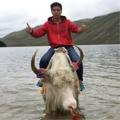 凝聚优雅的陶瓷生活 