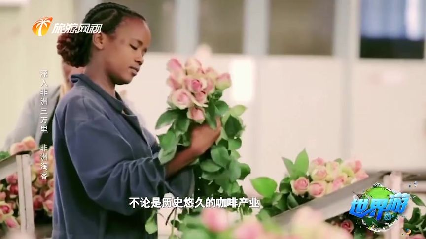 种植咖啡犹如马拉松,埃塞俄比亚,是如何成为咖啡出产大国的?