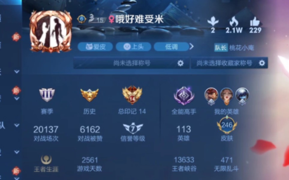 王者荣耀【免费送号第26期】Q区V8典藏246皮肤武圣末日机甲大小姐...