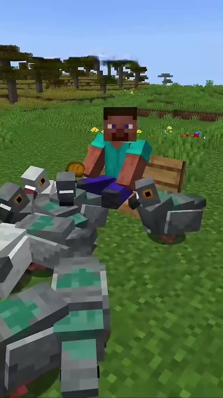 我将鸽子添加到我的世界