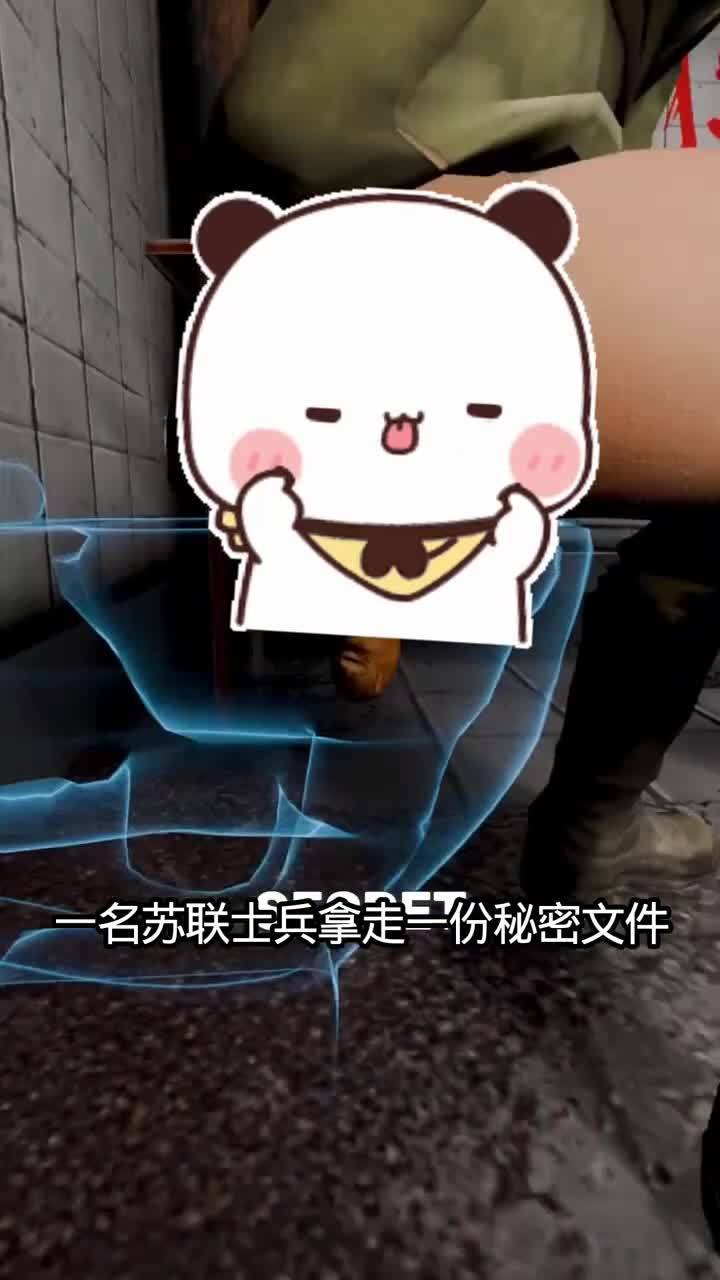 垃圾桶里发现的秘密计划柽柳行动