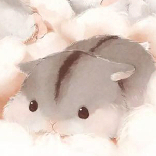 辰梦四季 