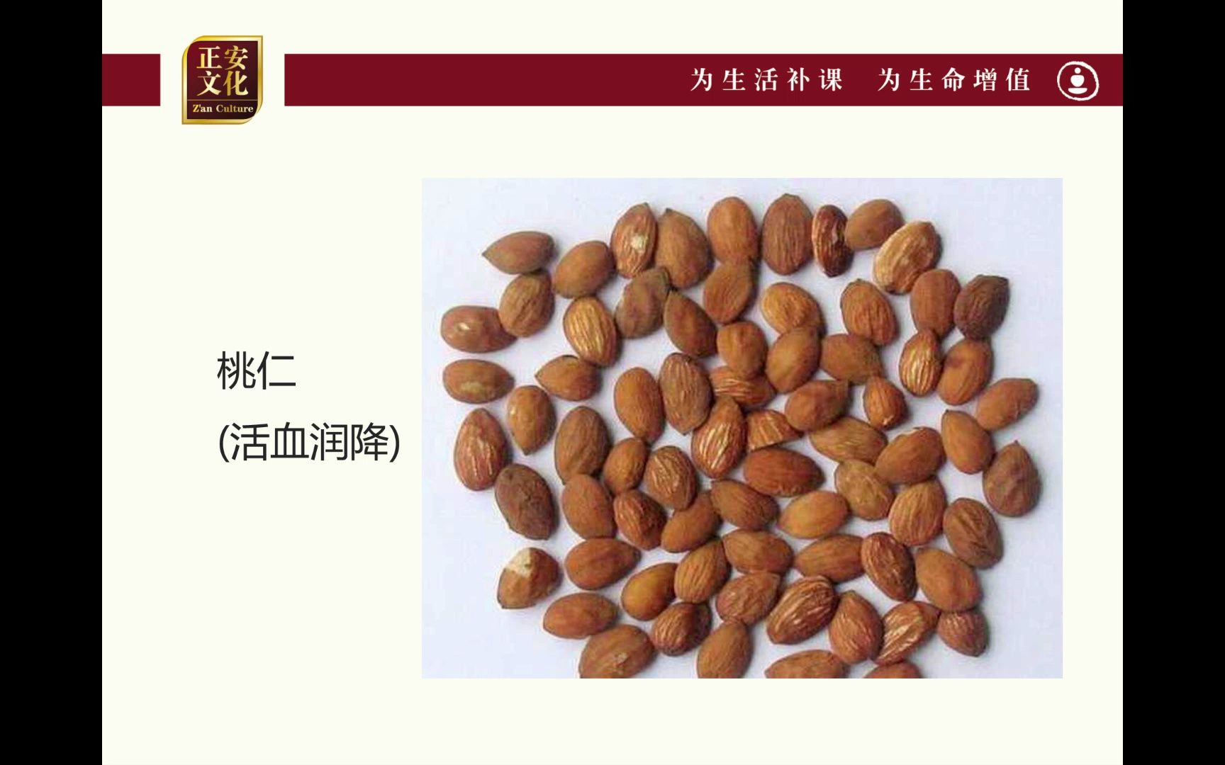 倪海厦老师弟子施合一经方药证学 第十二章 活血化瘀药 04 桃仁1