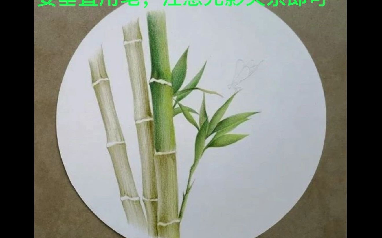 彩铅教程 | 画一棵节节高的青竹子