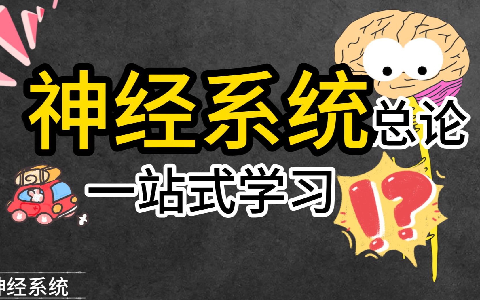 【解剖百科】神经系统总论,真的不难~超超超简单~