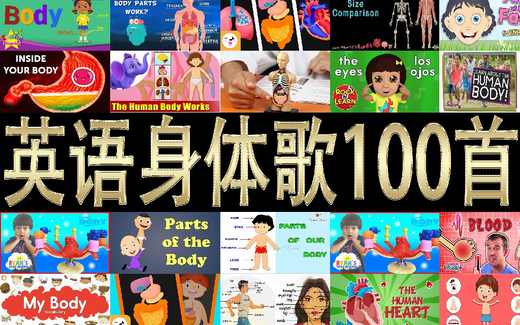 ...100集 最全主题类大合集英语启蒙学龄前儿童英语动画学习大合集