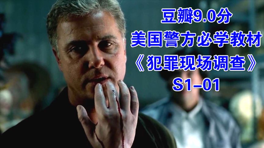 豆瓣评分9.0,真实案例改编,美国警方必学教材的一部美剧!