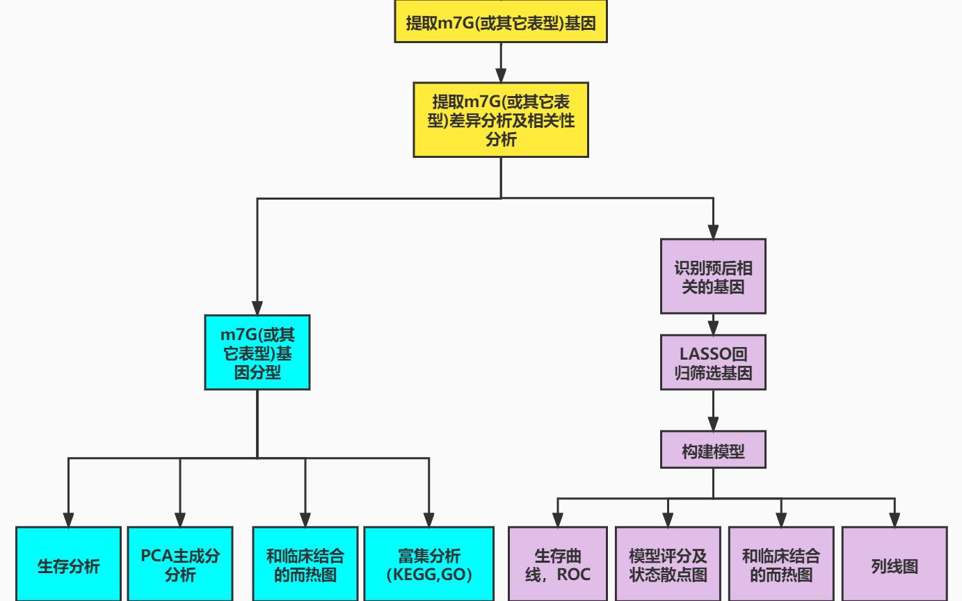 ...新热点,同时可做m5C,代谢,脂肪酸代谢,氧化应激,焦亡坏死等通路。