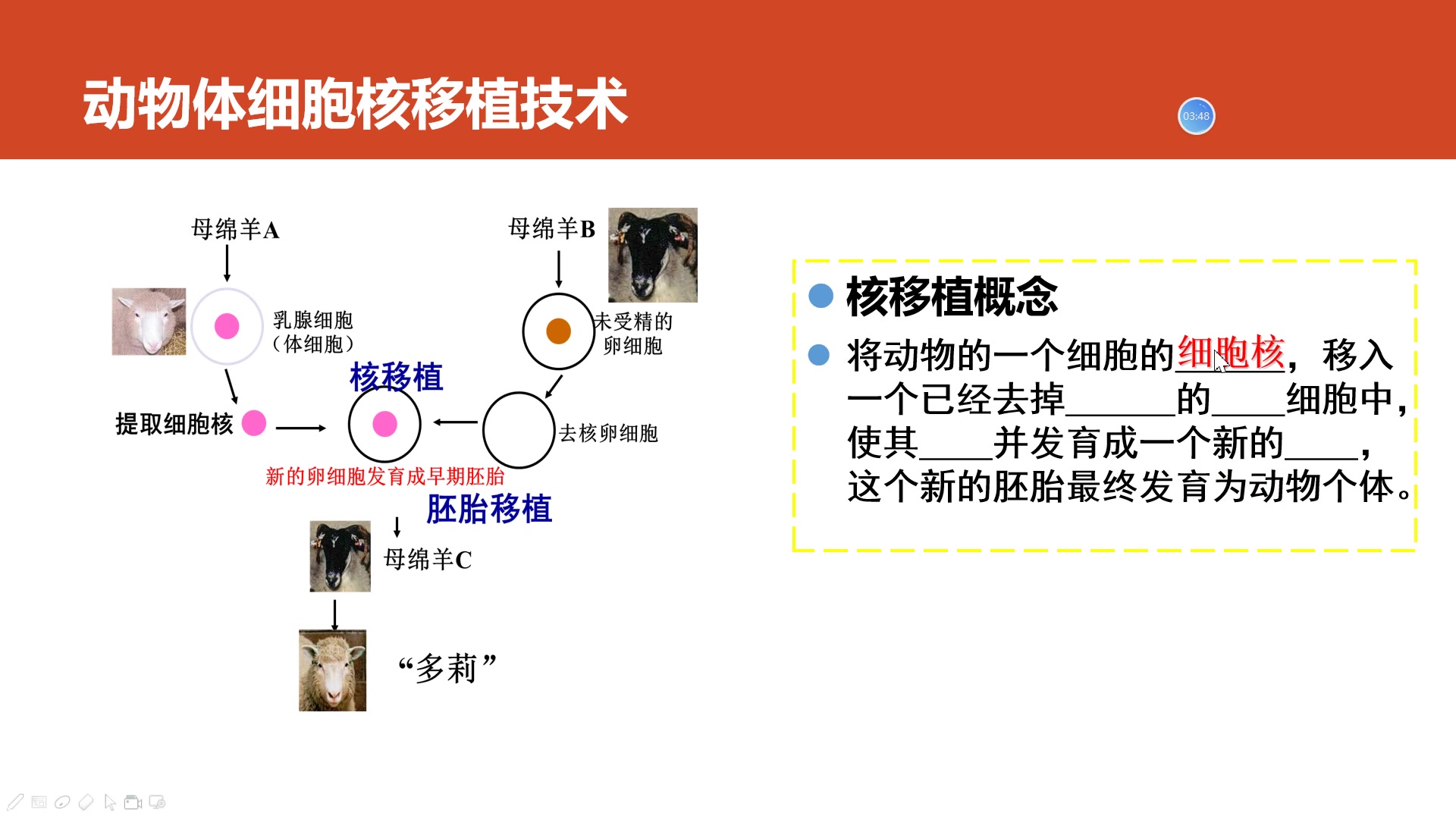 第十课时 动物细胞核移植