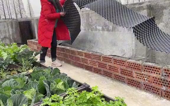 楼顶种菜,防止泥土排水困难,给菜池铺控根器能起到滤水作用吗?