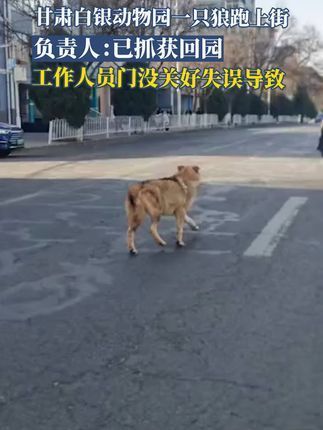 ...该动物园负责人郭随道接受红星新闻记者采访时表示,此事主要是因为...