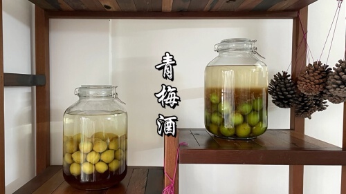 自制青梅酒泡青梅酒的注意事项有哪些?