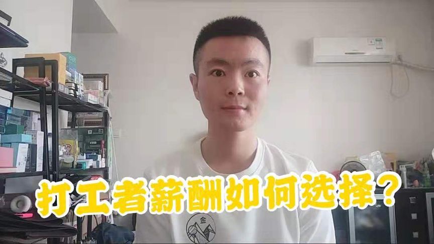 打工者薪酬如何选择,公司股份占比和流水占比哪个更有优势呢