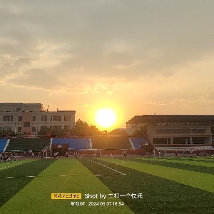 大weige0bilibili 