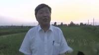 霍邱县稻虾种养模式获张洪程院士褒奖