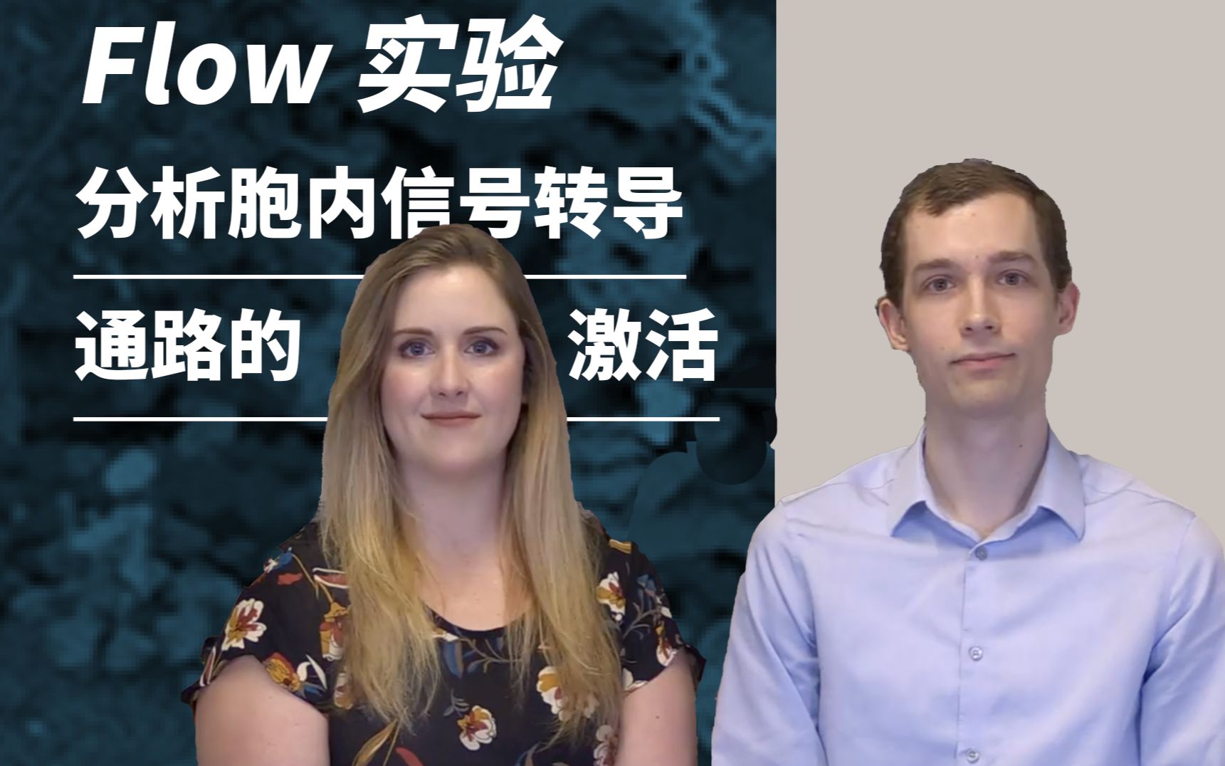 【流式细胞术/Flow】 如何分析细胞内信号转导通路的激活?