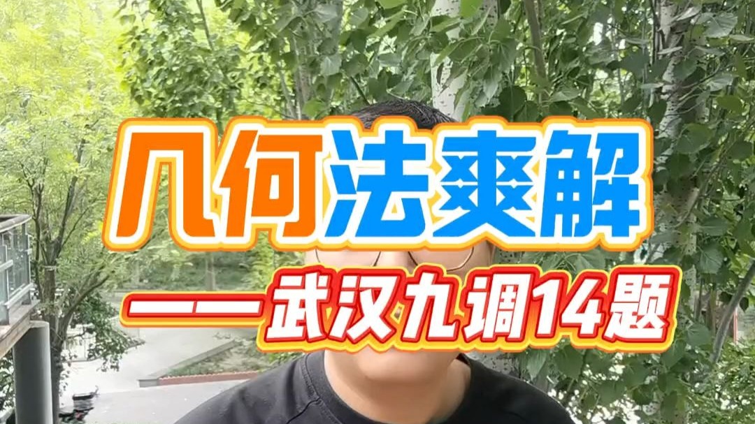 几何法做图不复杂计算量极小,用到武汉九调这道题上简直太爽了 高一...